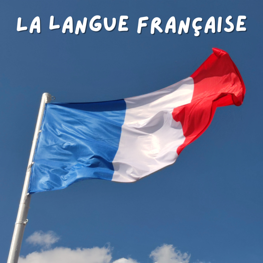 Blog • French with Qusai